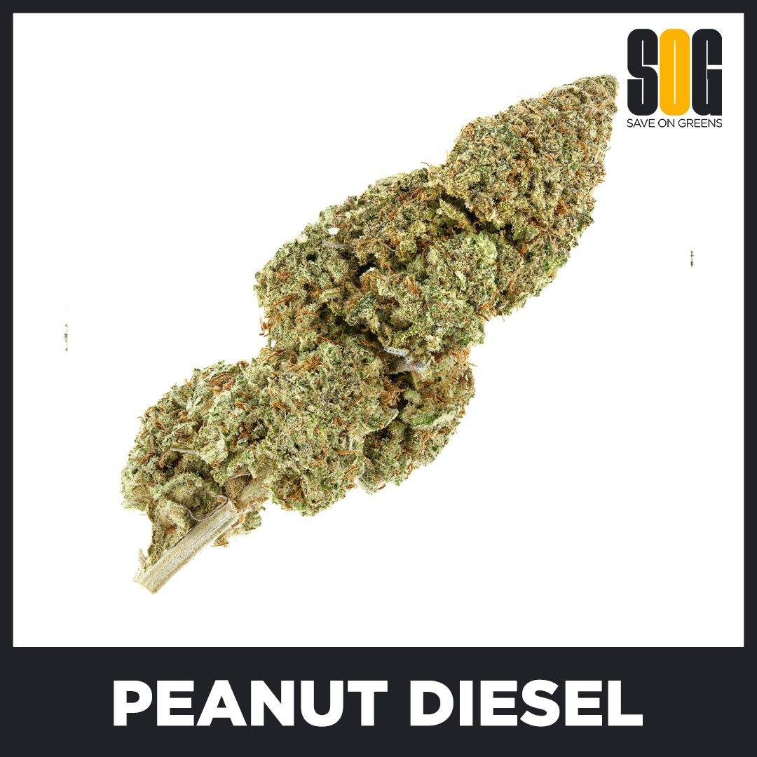 Low priced bud | Fast Delivery | Safe Payment | Saveongreens