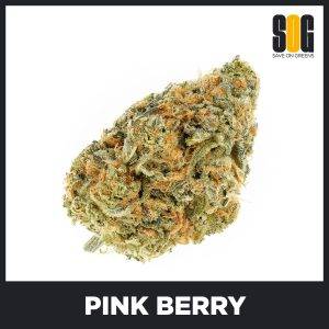 Cheap Weed | Fast Shipping | Safe Payment | Saveongreens