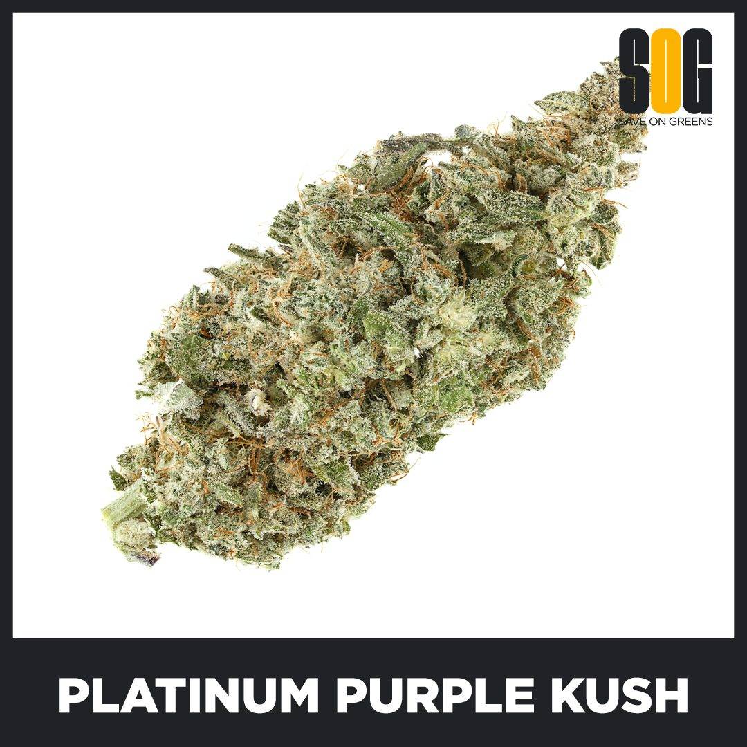 Low priced bud | Fast Delivery | Safe Payment | Saveongreens