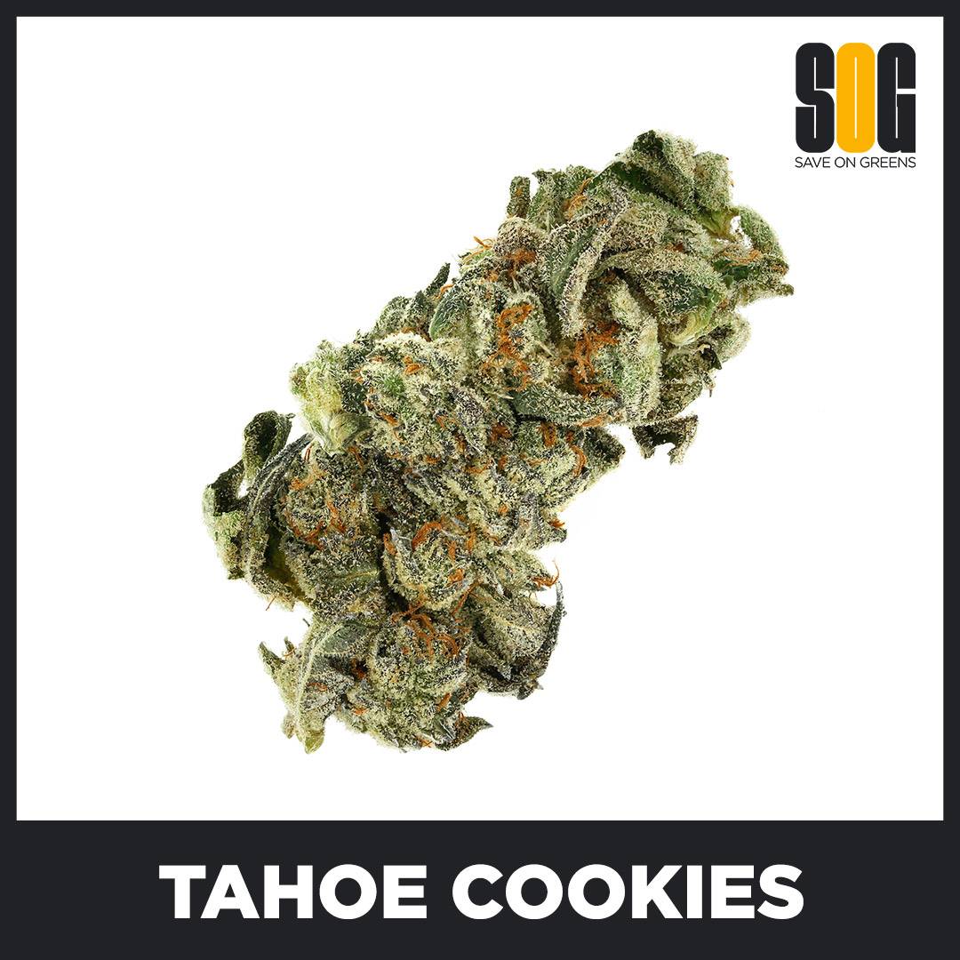 Low priced bud | Fast Delivery | Safe Payment | Saveongreens