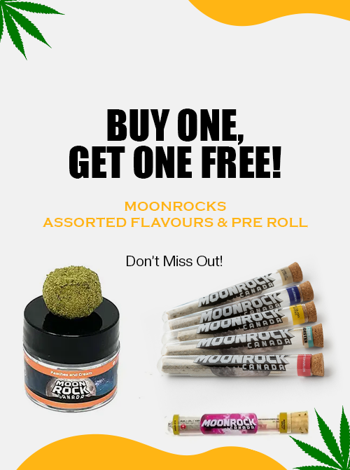 Low priced bud | Fast Delivery | Safe Payment | Saveongreens